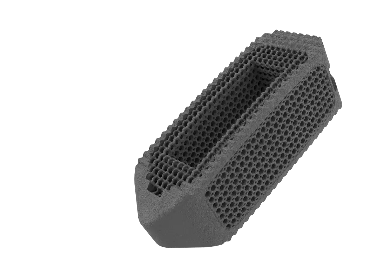 TrellOss®- TS Porous Ti Interbody System - HIGHRIDGE MEDICAL